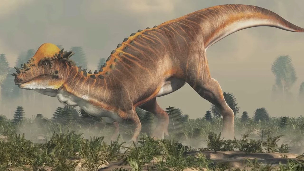 Hell Creek - the dig site delivering answers to questions no one ...