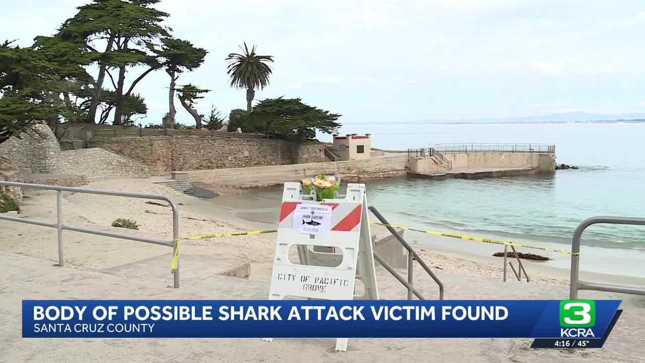 Coroner reveals cause of death in Central Coast shark attack