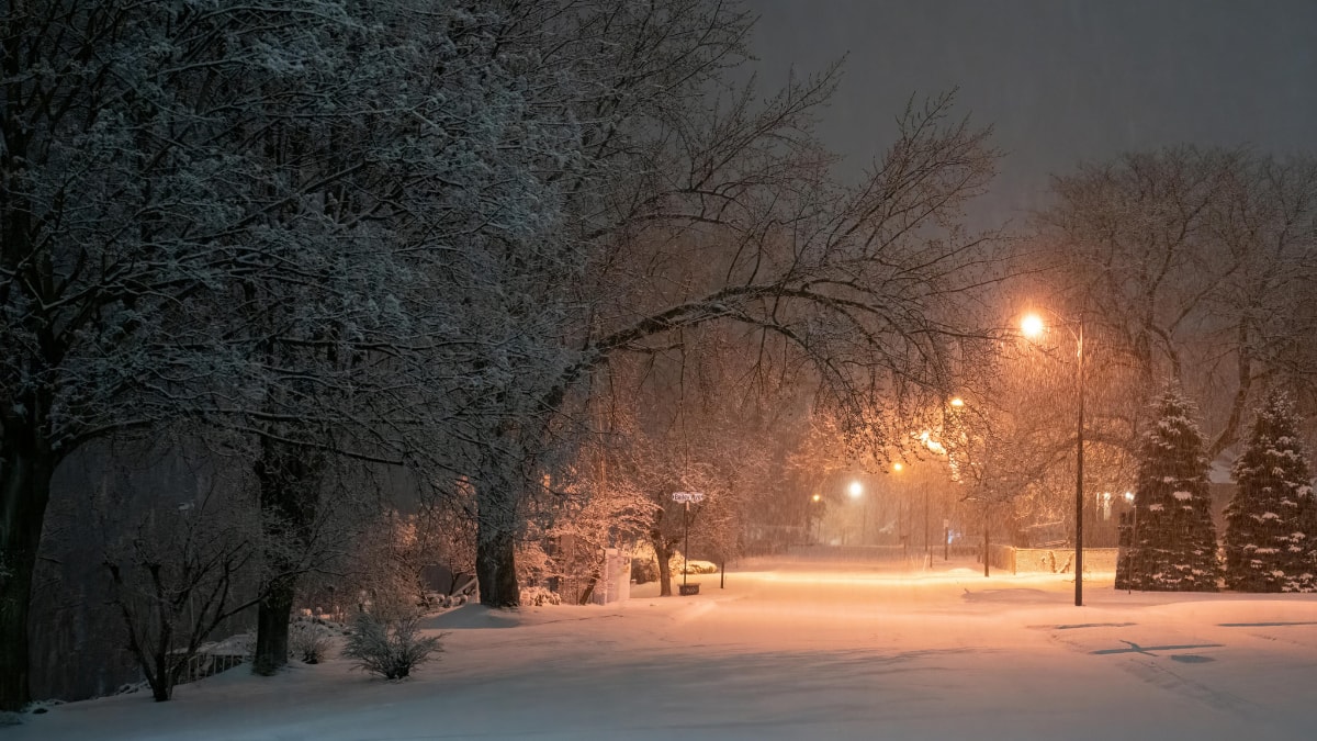 New year snowfall boosts tourism in Jammu and Kashmir as Himachal ...