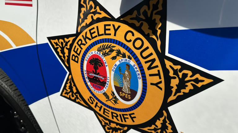 Criminals love unlocked doors, says BCSO after multiple cars rummaged ...