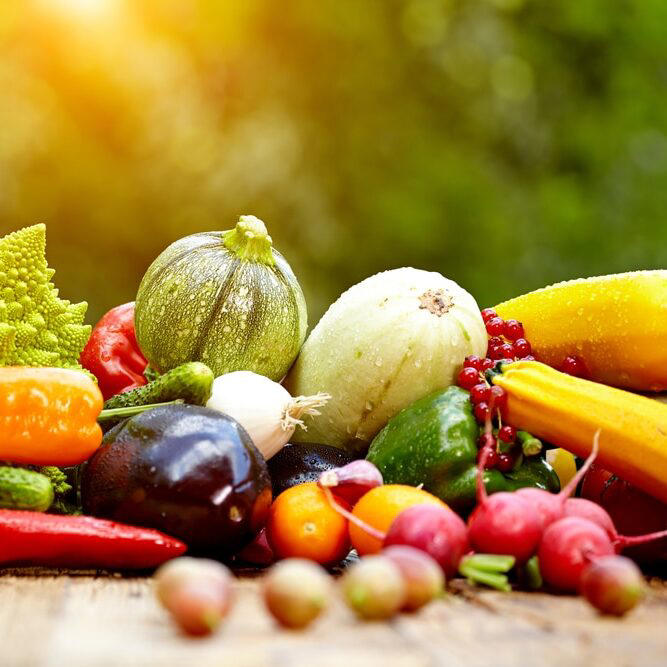 Renforcer son système immunitaire en hiver : la routine simple en 4 ...