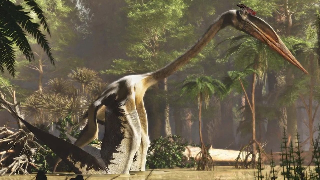 Scientists reveal how dinosaur traits could return through powerful new ...
