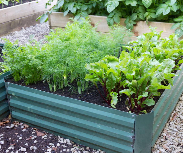 This 8ft long metal raised garden bed just dropped to $110 at Walmart
