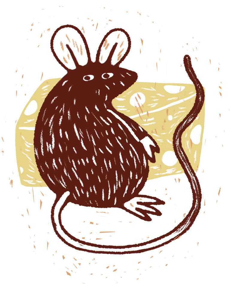 What’s your luck like in 2026, the Fire Horse year? Horoscopes for ...