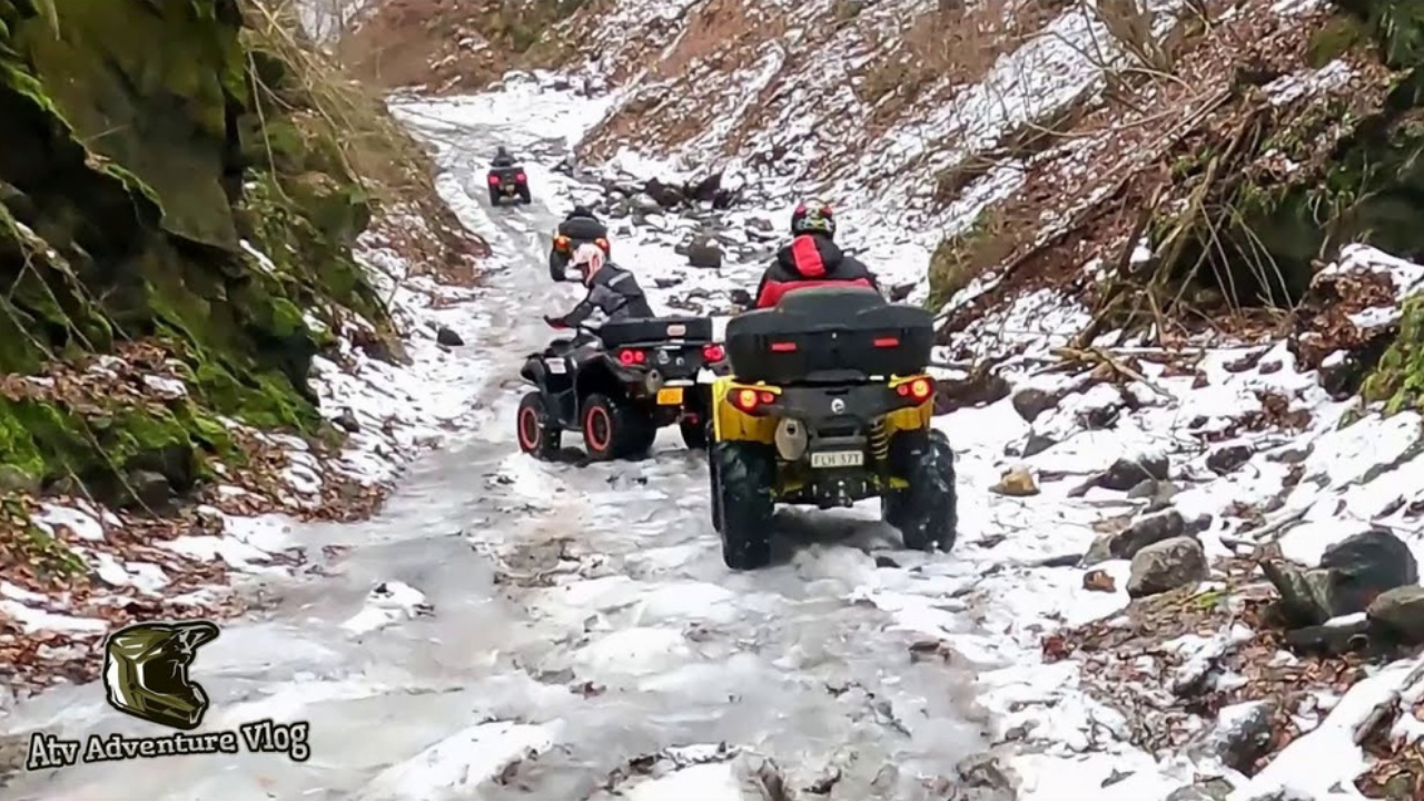 Frozen forest challenge: Icy creek valley expedition