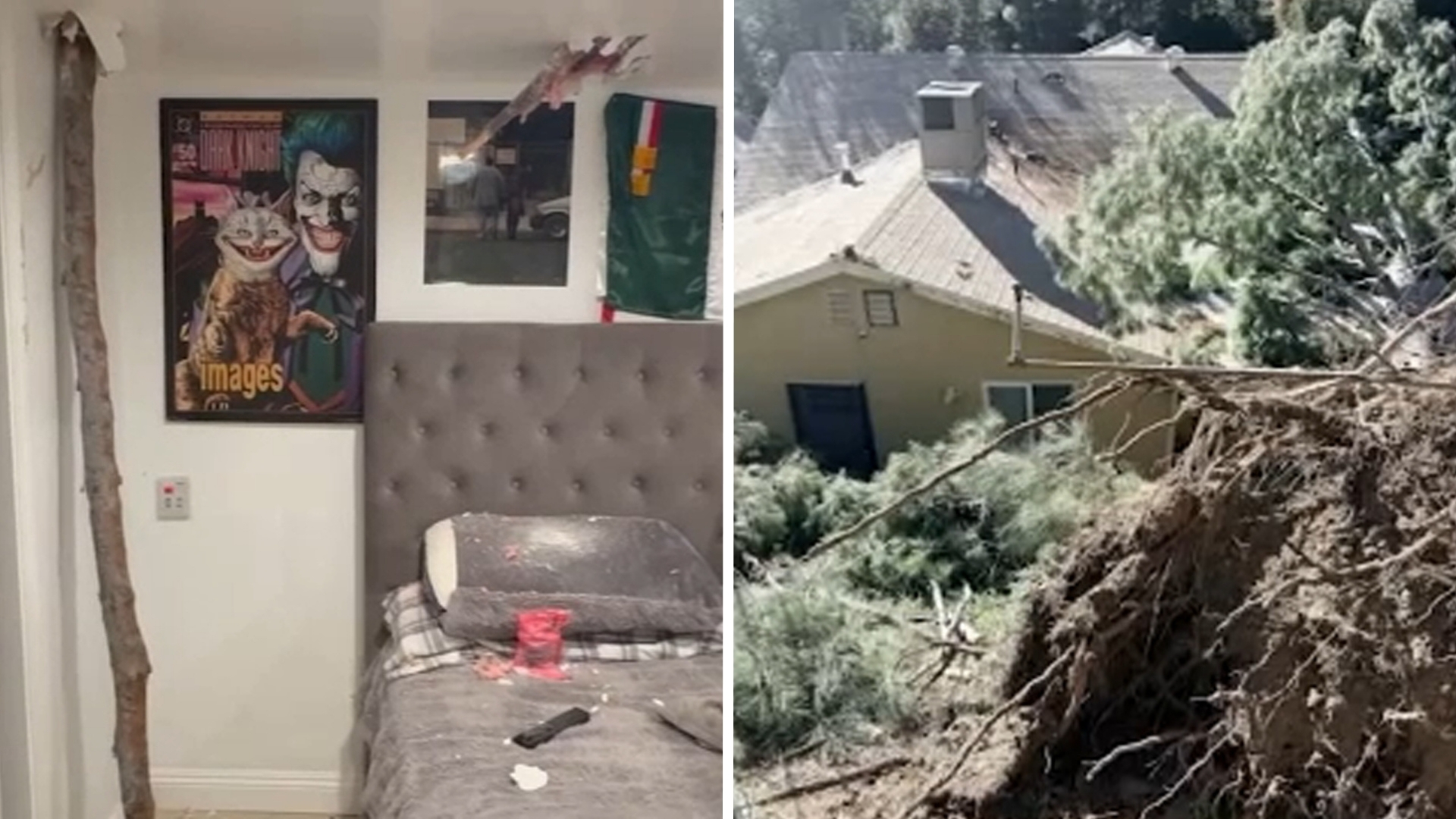 Tree smashes through Sylmar house during Santa Ana winds