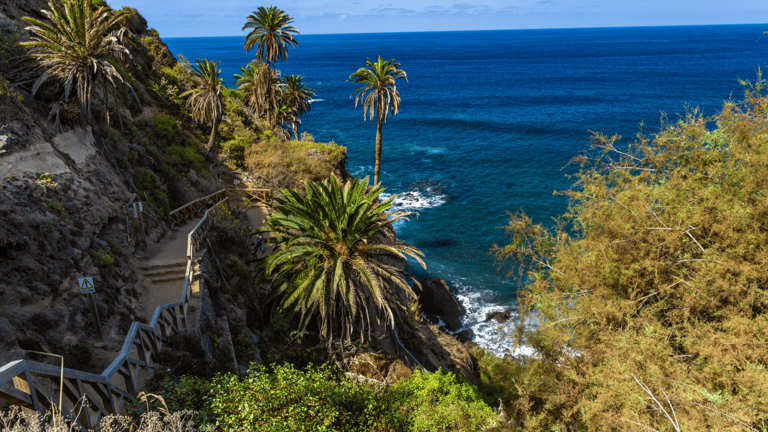 This hidden beach on the island of Tenerife is a secret well-kept among ...