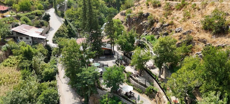 Saimbeyli Belediye Başkanı Dal, "Üreten ve sahada karşılığı olan bir ...