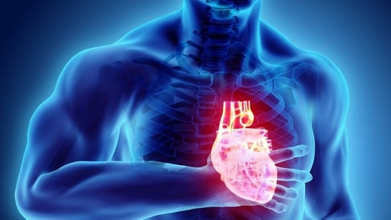 Heart surgeon explains the difference between the 2 types of arterial ...