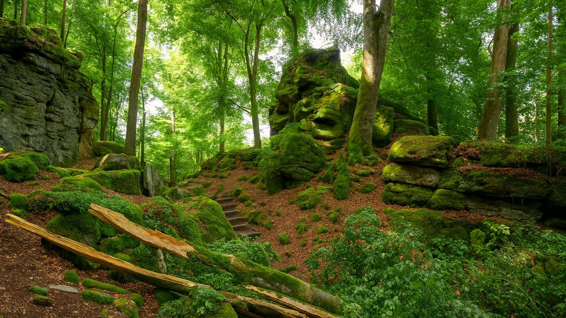 Teufelsschlucht, Eifel region: Discover Germany’s Devil’s Gorge