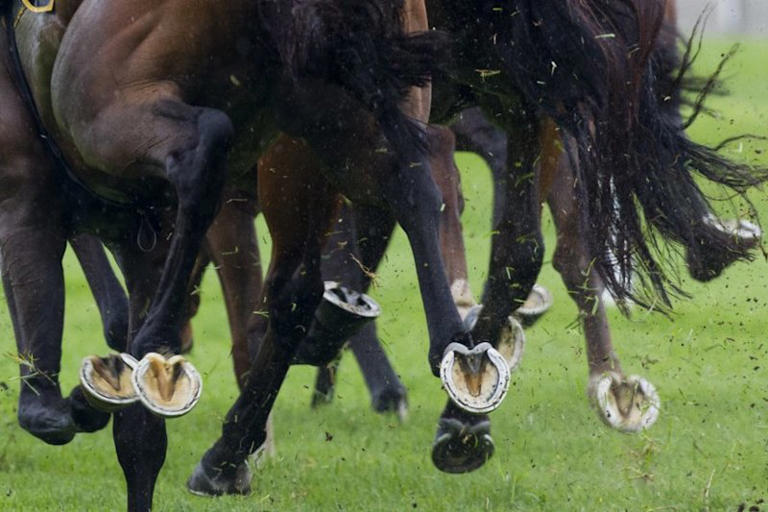 Race-by-race tips and previews for Wednesday’s Gosford meeting