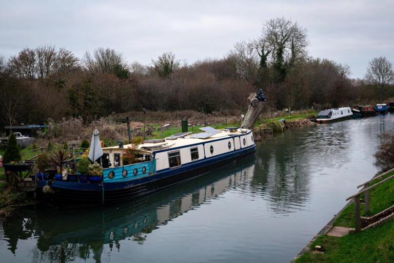 Large gorilla statue built on top of tree – as birthday present for ...