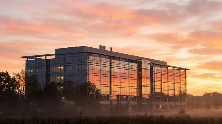 Alzheimer : et si une simple molécule permettait bientôt de restaurer ...