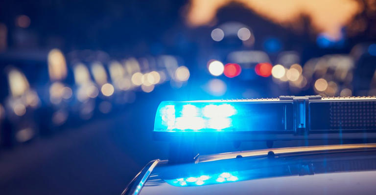 King Charles grants knighthood to billionaire who hid wife’s body