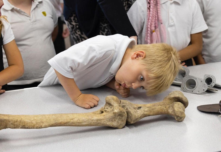 Museum awarded funds to 'Reimagine' its collections