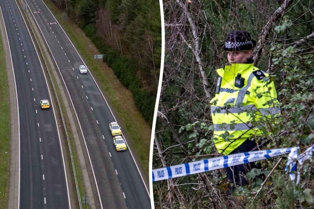 ‘Gunman’ shot and killed by armed police after crash in Norfolk