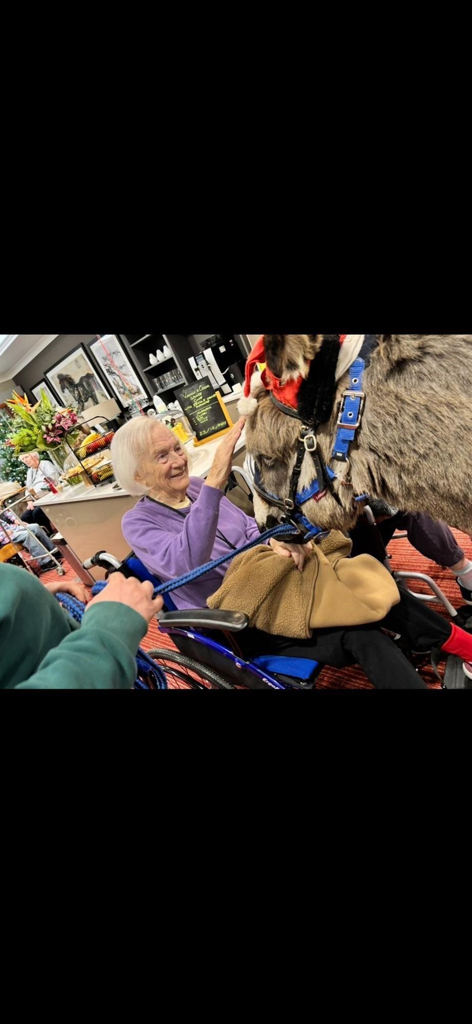 Andy the donkey visits Surrey care home