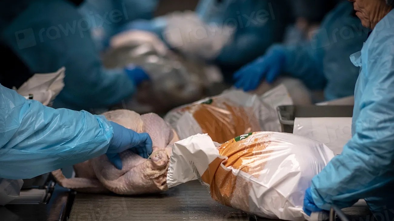 Over 60,000 pounds of chicken recalled nationwide - here's what caused it