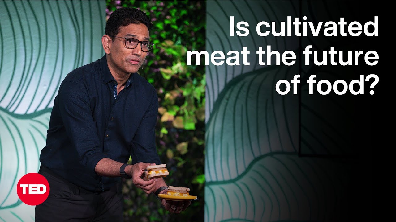 Is cultivated meat the future of food?