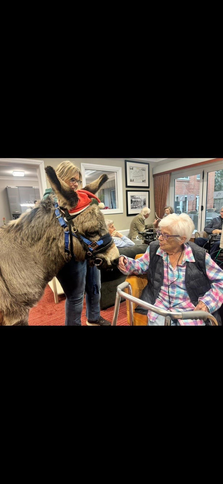 Andy the donkey visits Surrey care home
