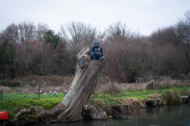 Large gorilla statue built on top of tree – as birthday present for ...