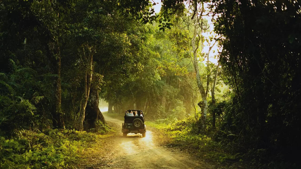 Different types of wildlife safaris in India and where to experience them