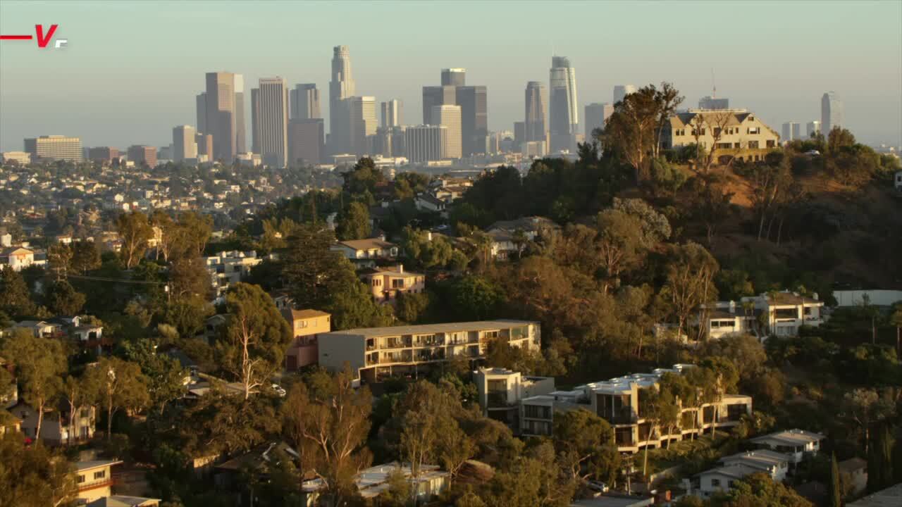 New research suggests plants might be contributing to the pollution problem