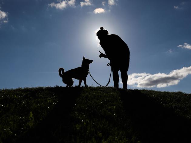 Hundehalter machen seit dem 29.12. ihrem Ärger deutlich Luft: „Ich bin ...