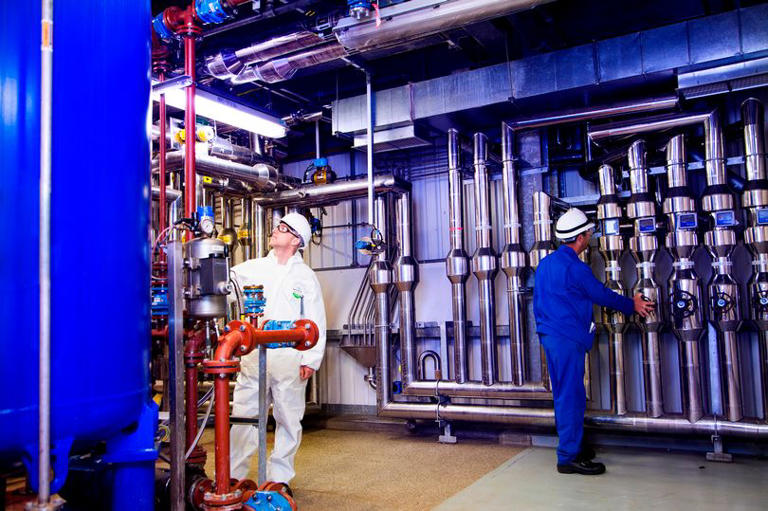 Sterling Pharma points to 2026 as year of recovery following tough trading