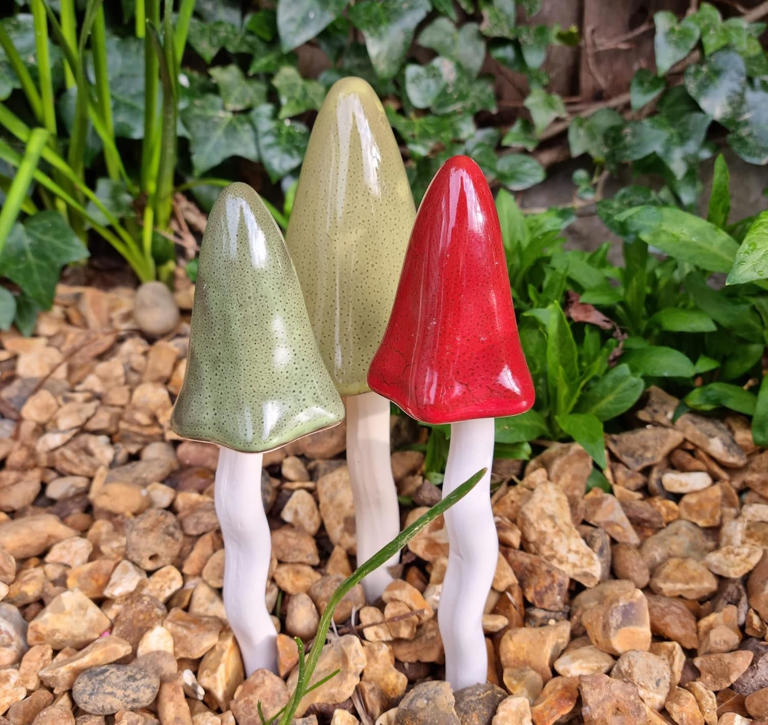 Tinkling toadstools earned me serious brownie points when I gifted a ...