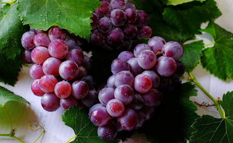 Why People Eat 12 Grapes On New Year's Eve? Know Origin, History Of ...