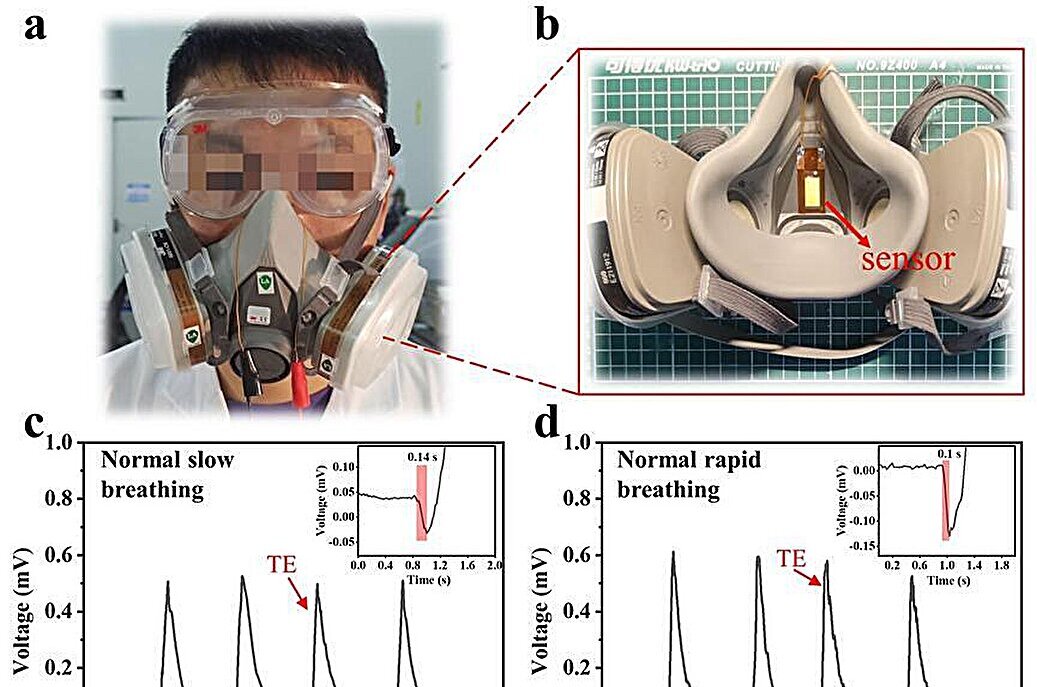 New sensor measures strain, strain rate and temperature with single ...