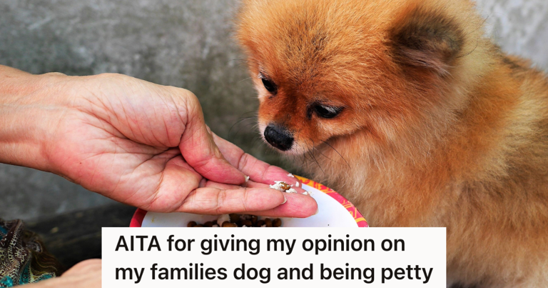 Man’s parents are having trouble getting their new puppy to eat dog ...