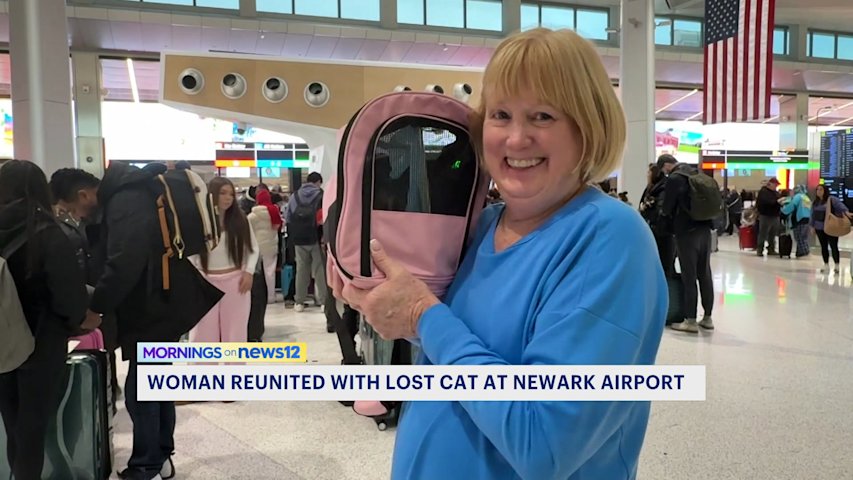 Airport officials track down missing cat after Newark scare