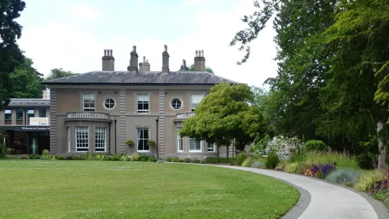 Hospice offers to recycle Christmas trees