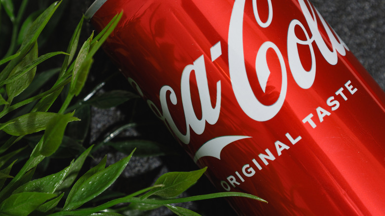 Don't throw away empty soda cans: Use them for budget-friendly garden ...