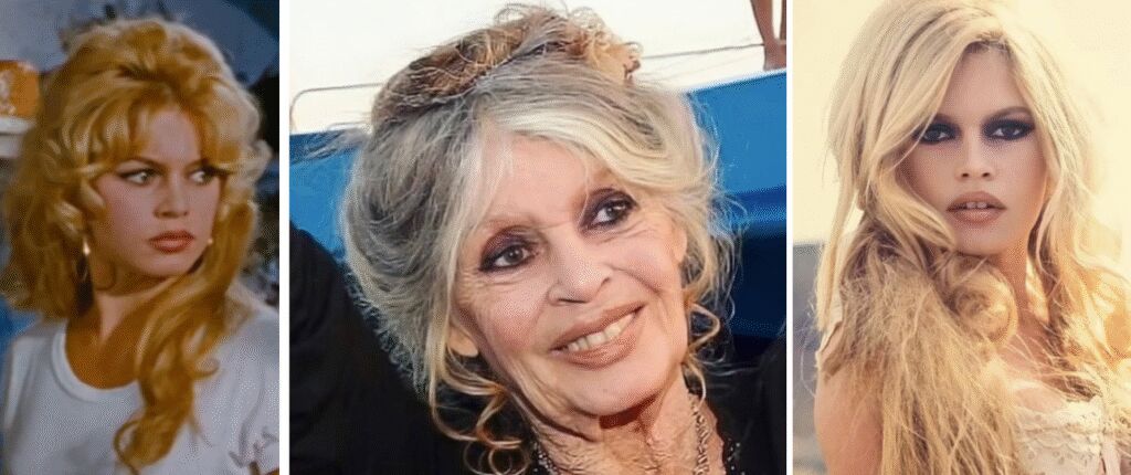 Laatste eerbetoon Brigitte Bardot: afscheidsceremonie 7 januari in ...