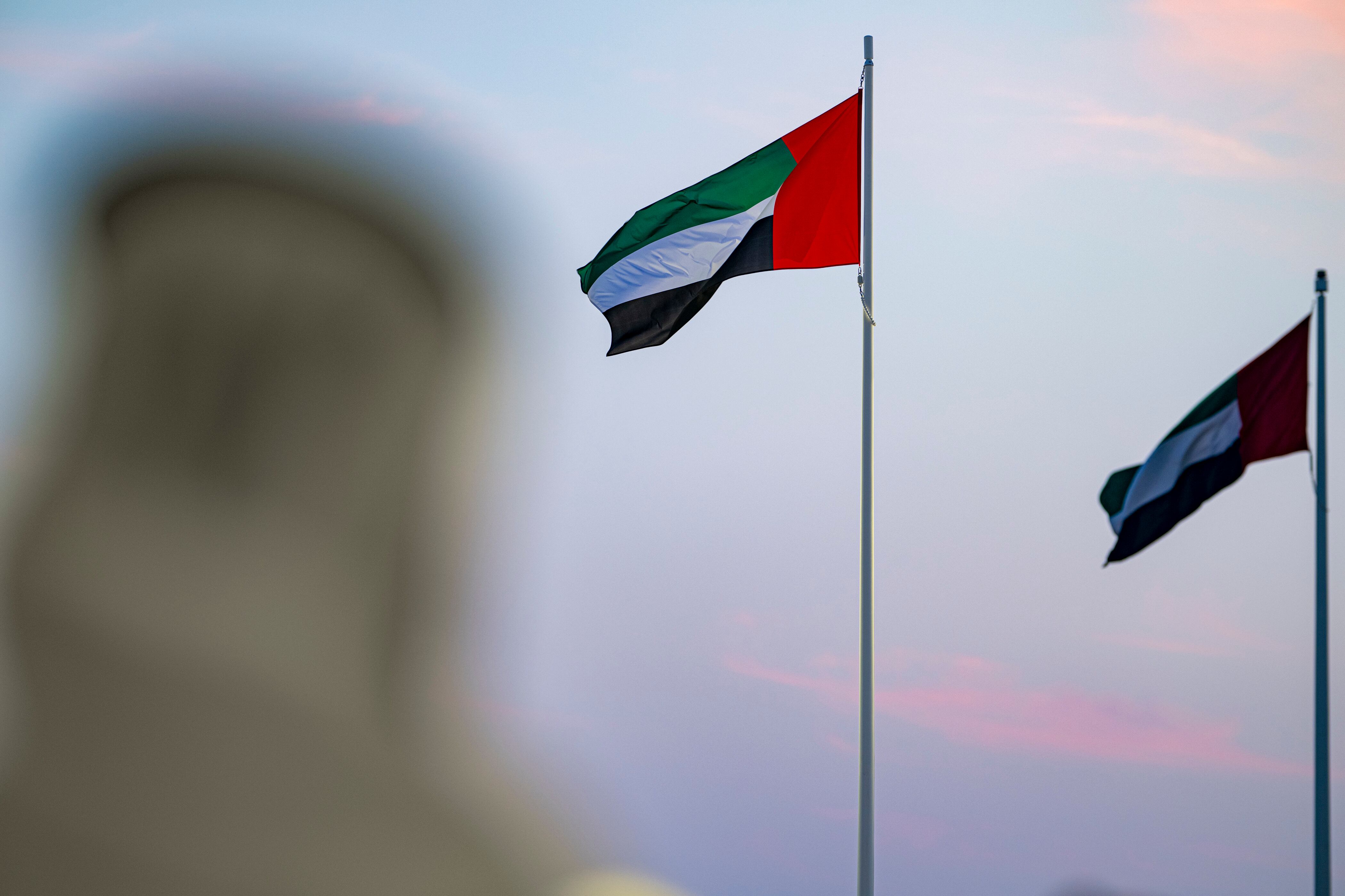 UAE announces withdrawal of all remaining counter-terrorism teams from ...