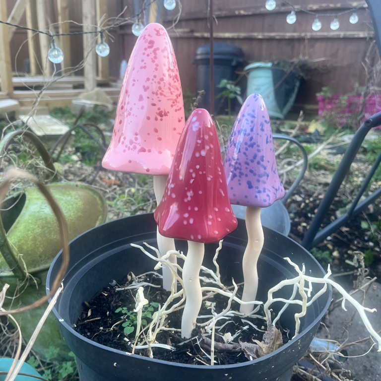Tinkling toadstools earned me serious brownie points when I gifted a ...
