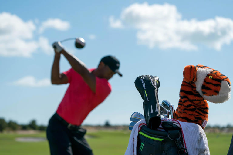 Tiger Woods by the numbers. What are his key career accomplishments?