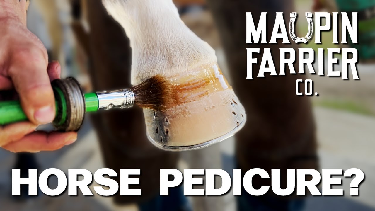 Horse hoof pedicure: Oddly satisfying farrier work