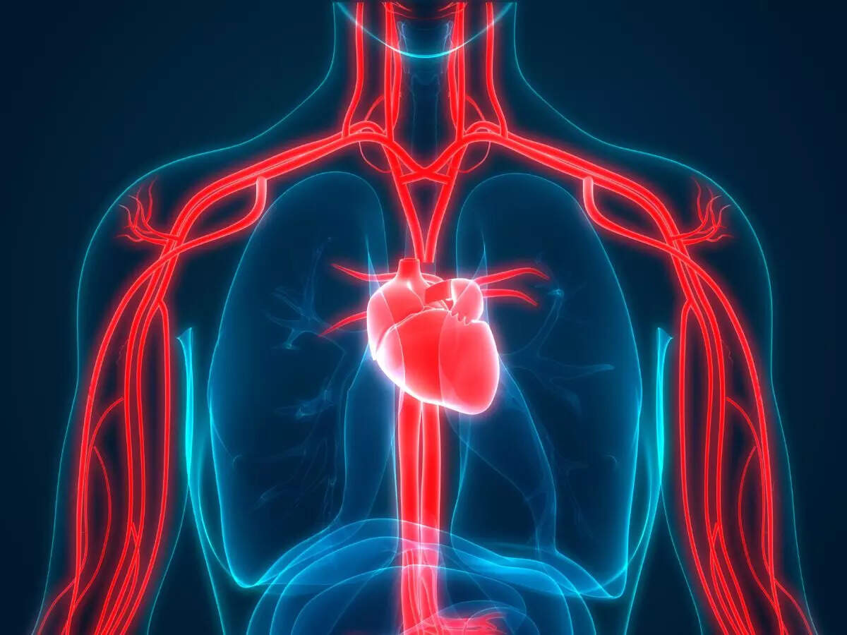 6 foods that support vein health and improve blood flow naturally
