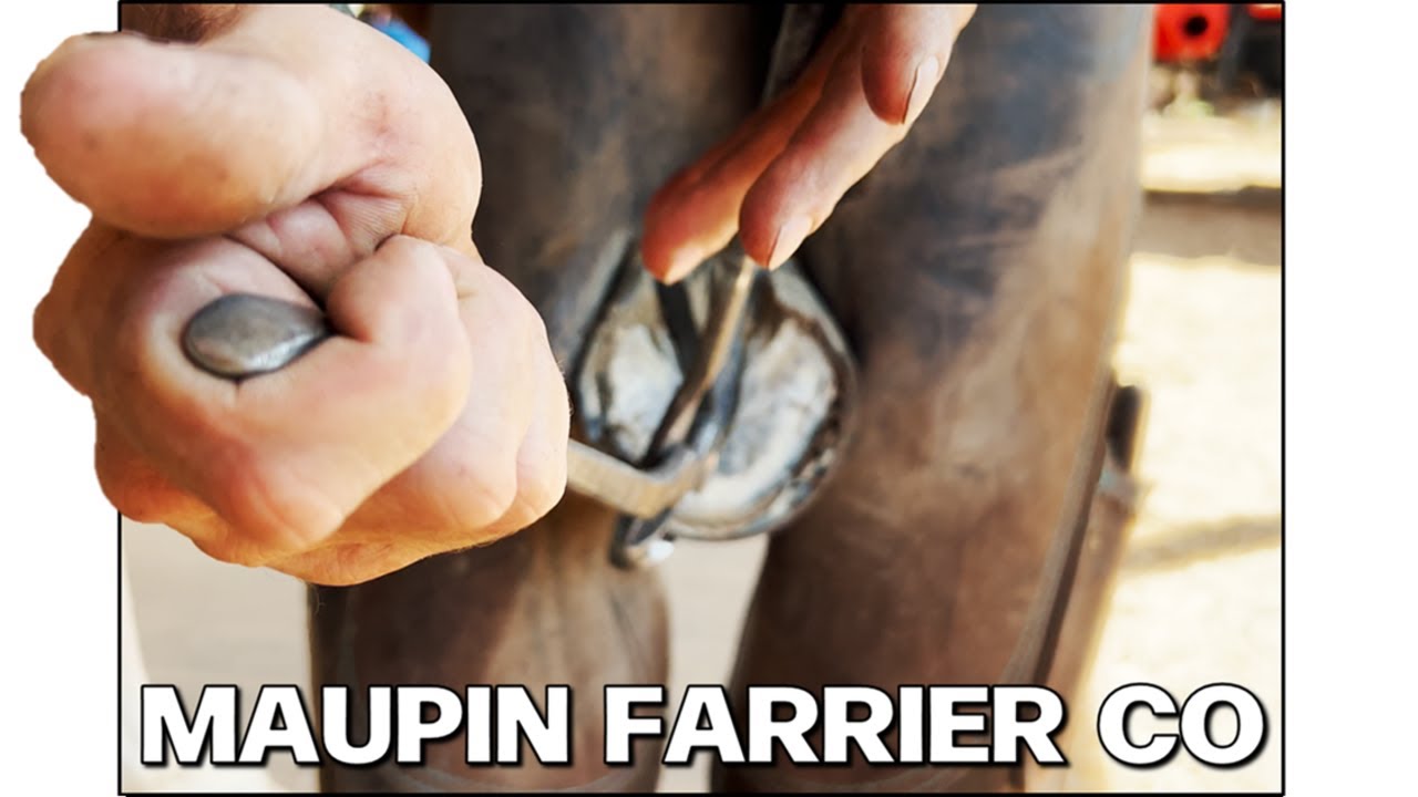 Could you handle this hoof? Farrier ASMR restoration challenge