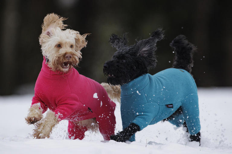 Northern Ireland set to welcome in 2026 with potential snow showers