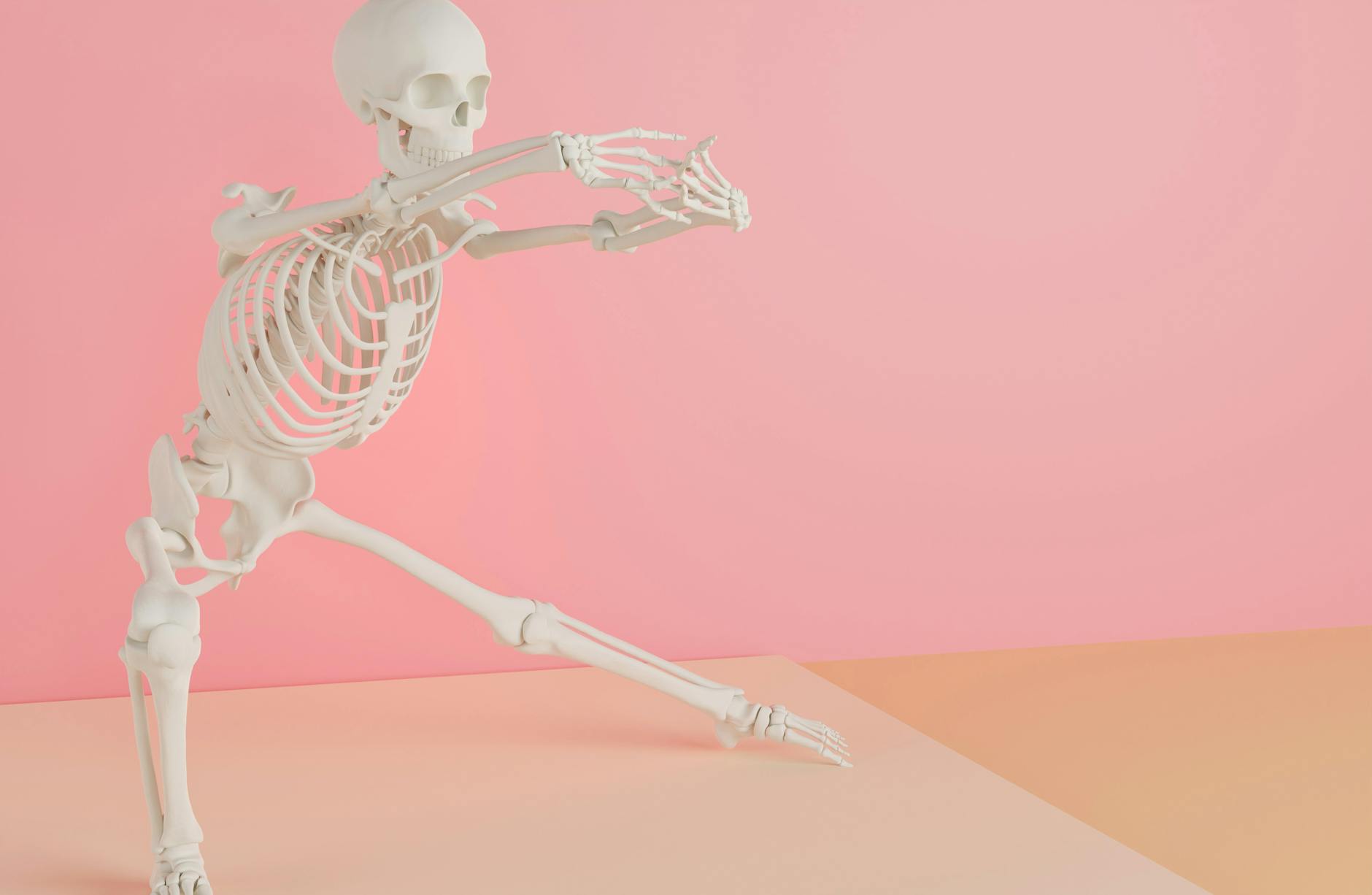 "Big-Boned" or Biology? How Your Skeleton Actually Effects Your Body Size