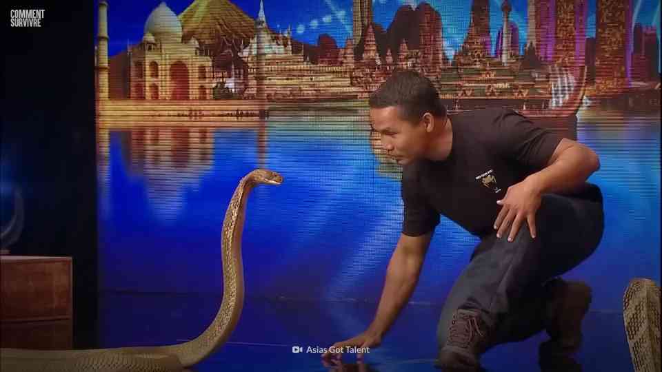 La vérité derrière l’homme qui murmurait aux serpents