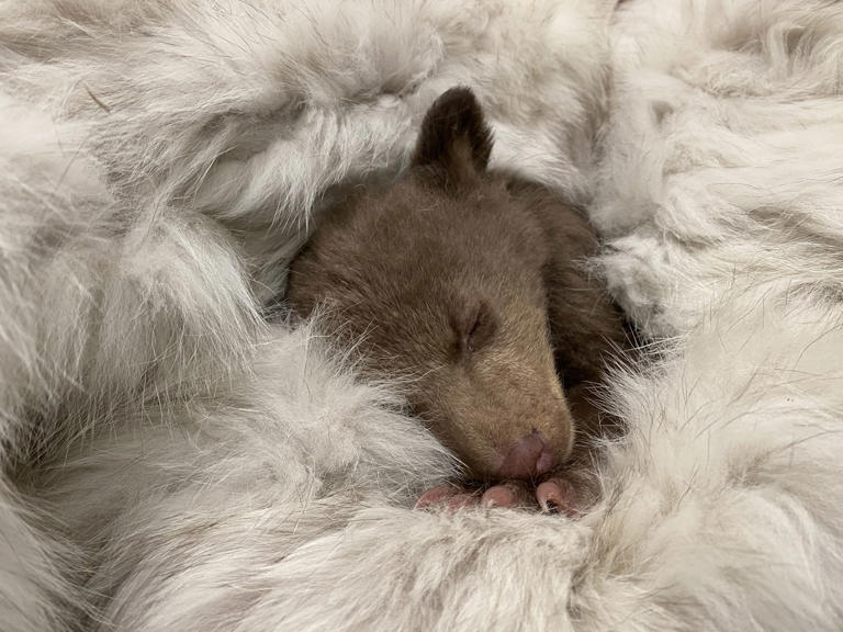 5 of the best good news stories from 2025