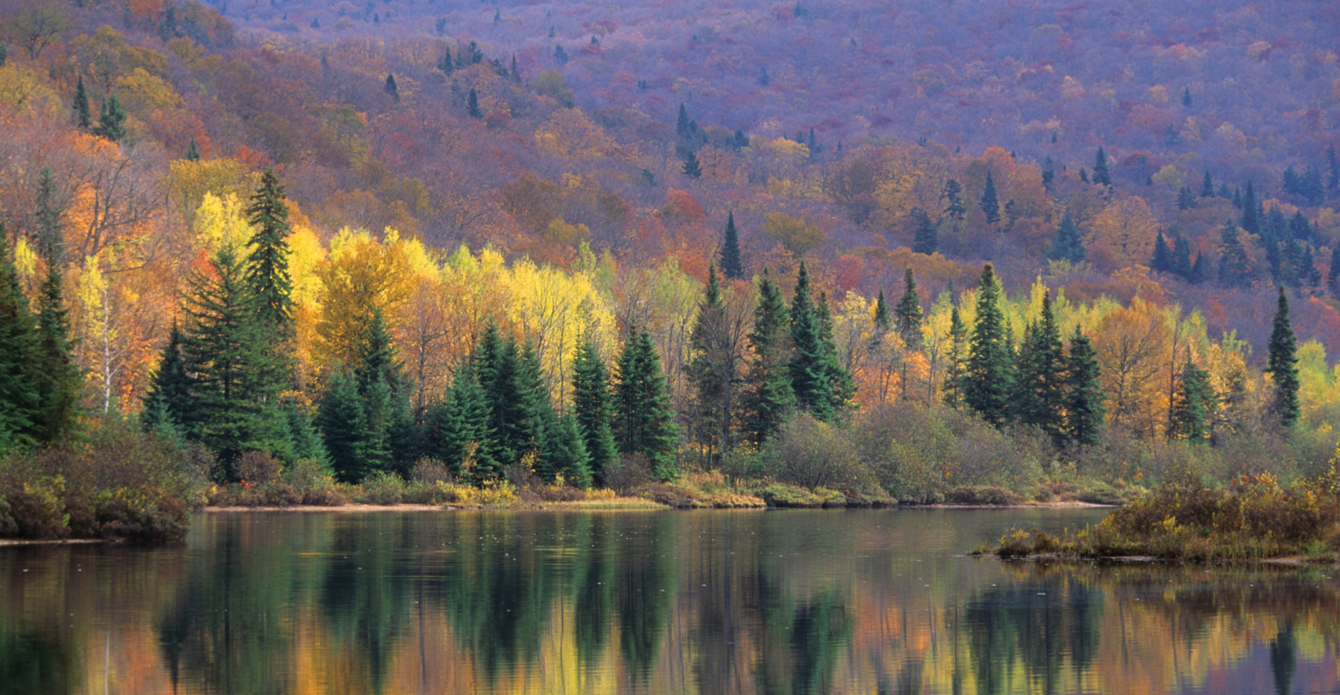 The wealth in Canada's natural resources