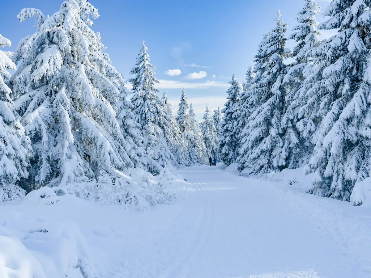 Na přelomu roku bude sněžit, na horách připadne až 15 centimetrů sněhu
