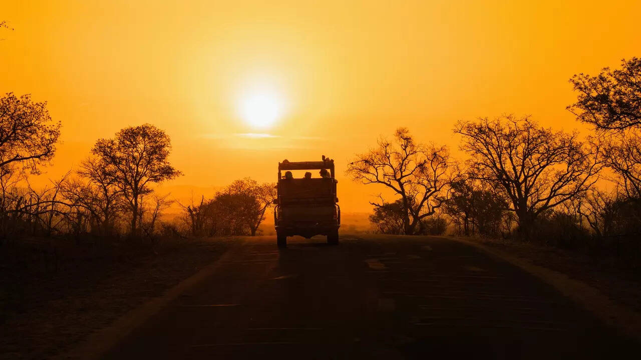 Different types of wildlife safaris in India and where to experience them
